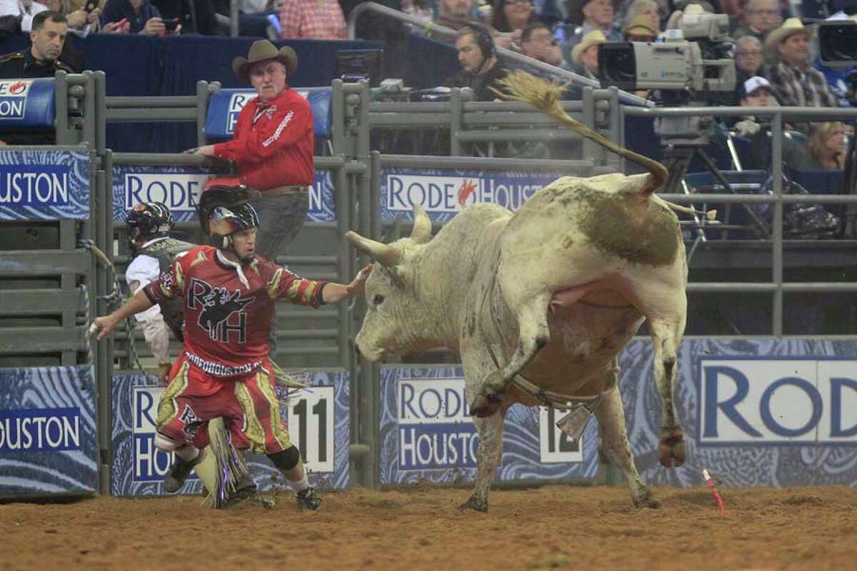 Bull riding at the rodeo gets closer look