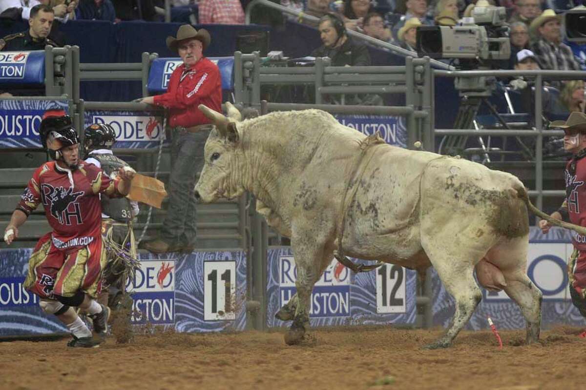 Bull riding at the rodeo gets closer look