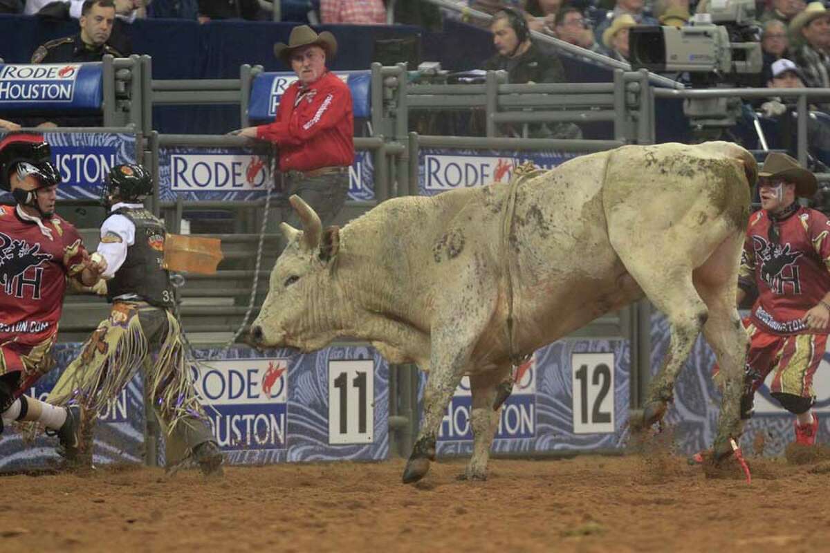 Bull riding at the rodeo gets closer look