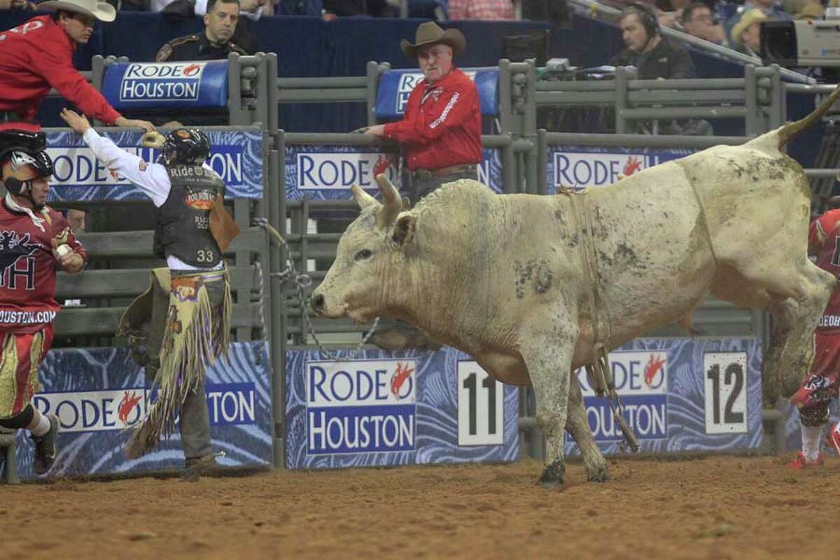 Bull riding at the rodeo gets closer look