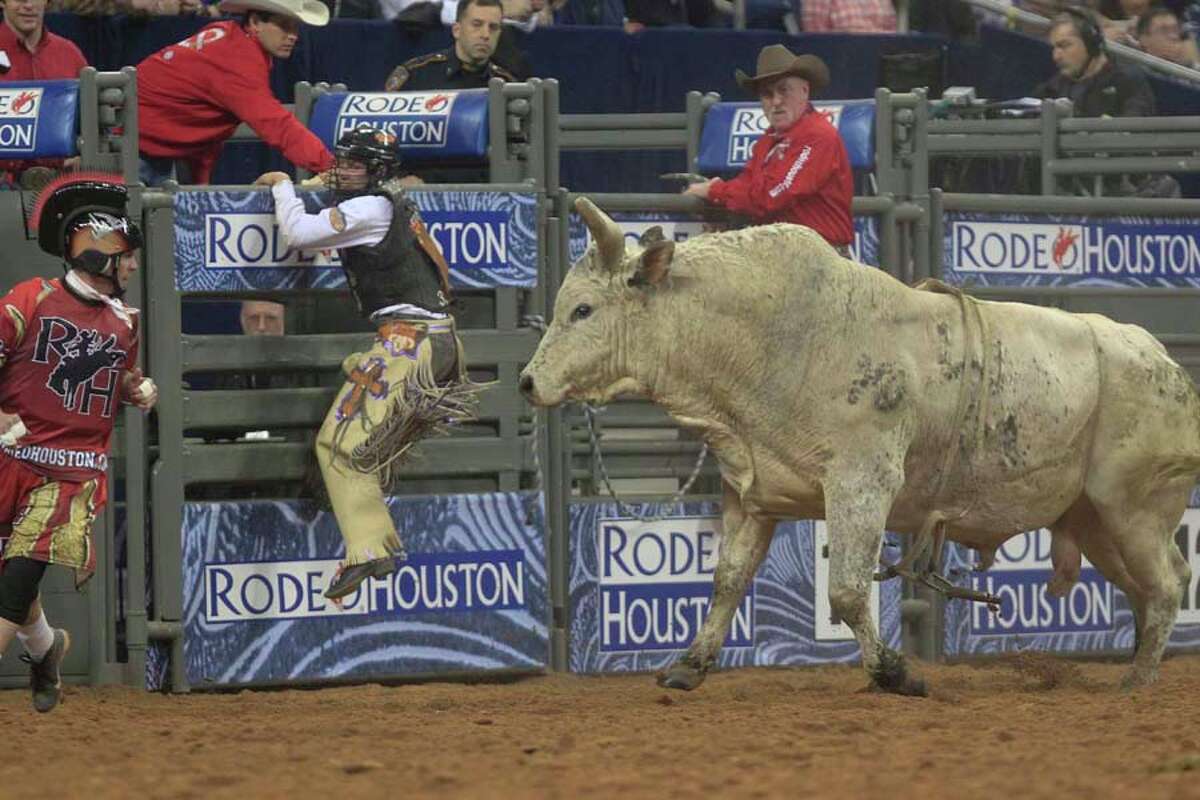 Bull riding at the rodeo gets closer look