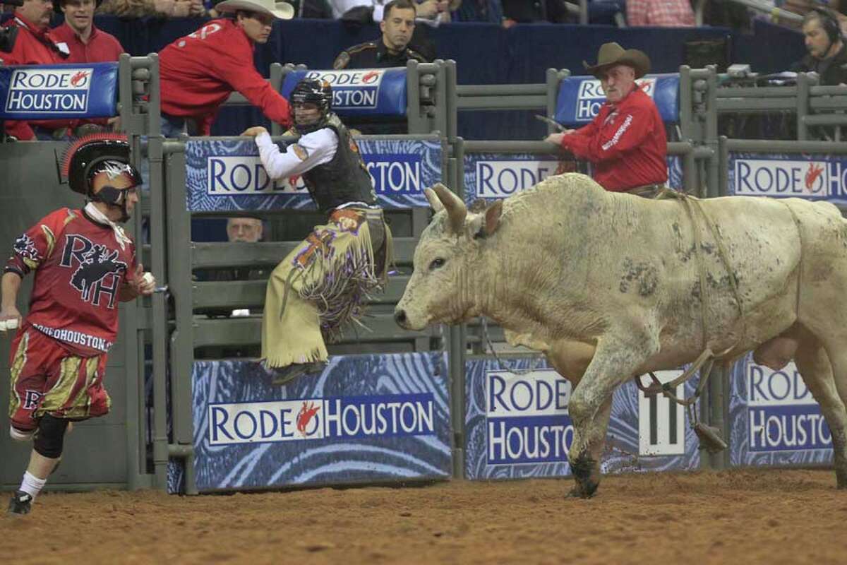 Bull riding at the rodeo gets closer look