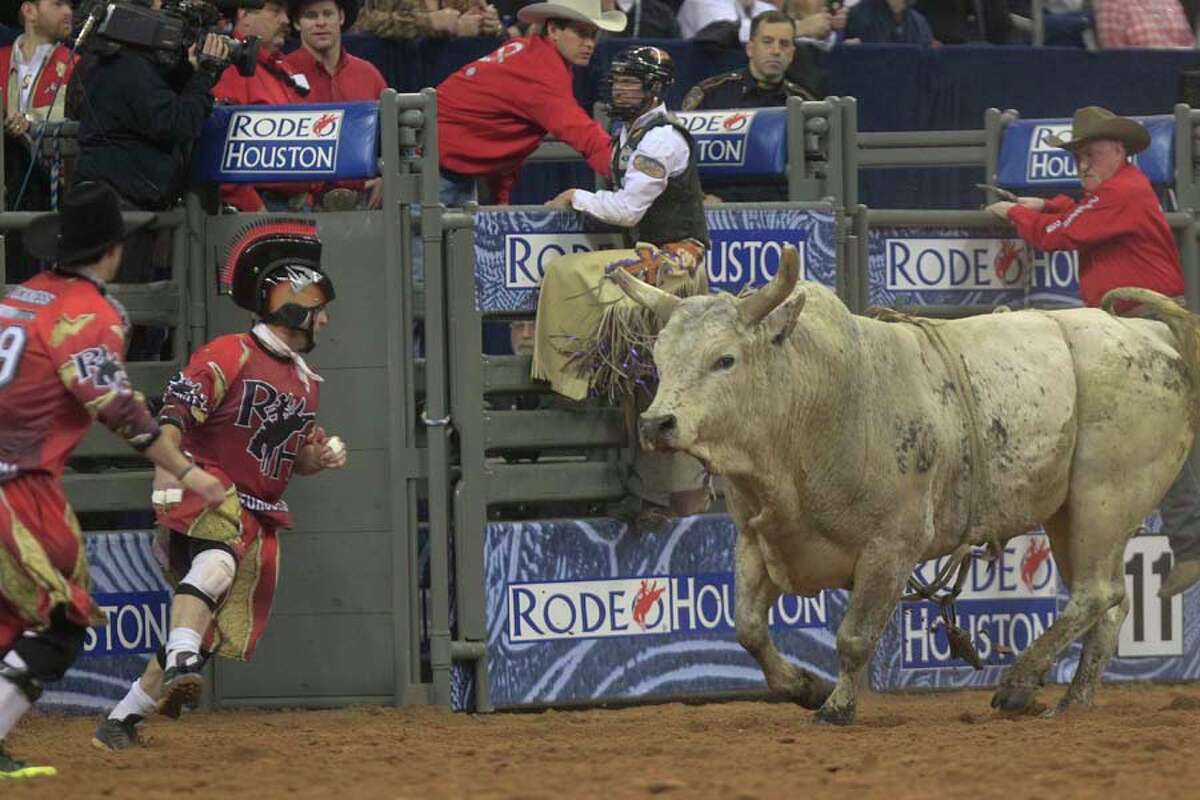 Bull riding at the rodeo gets closer look