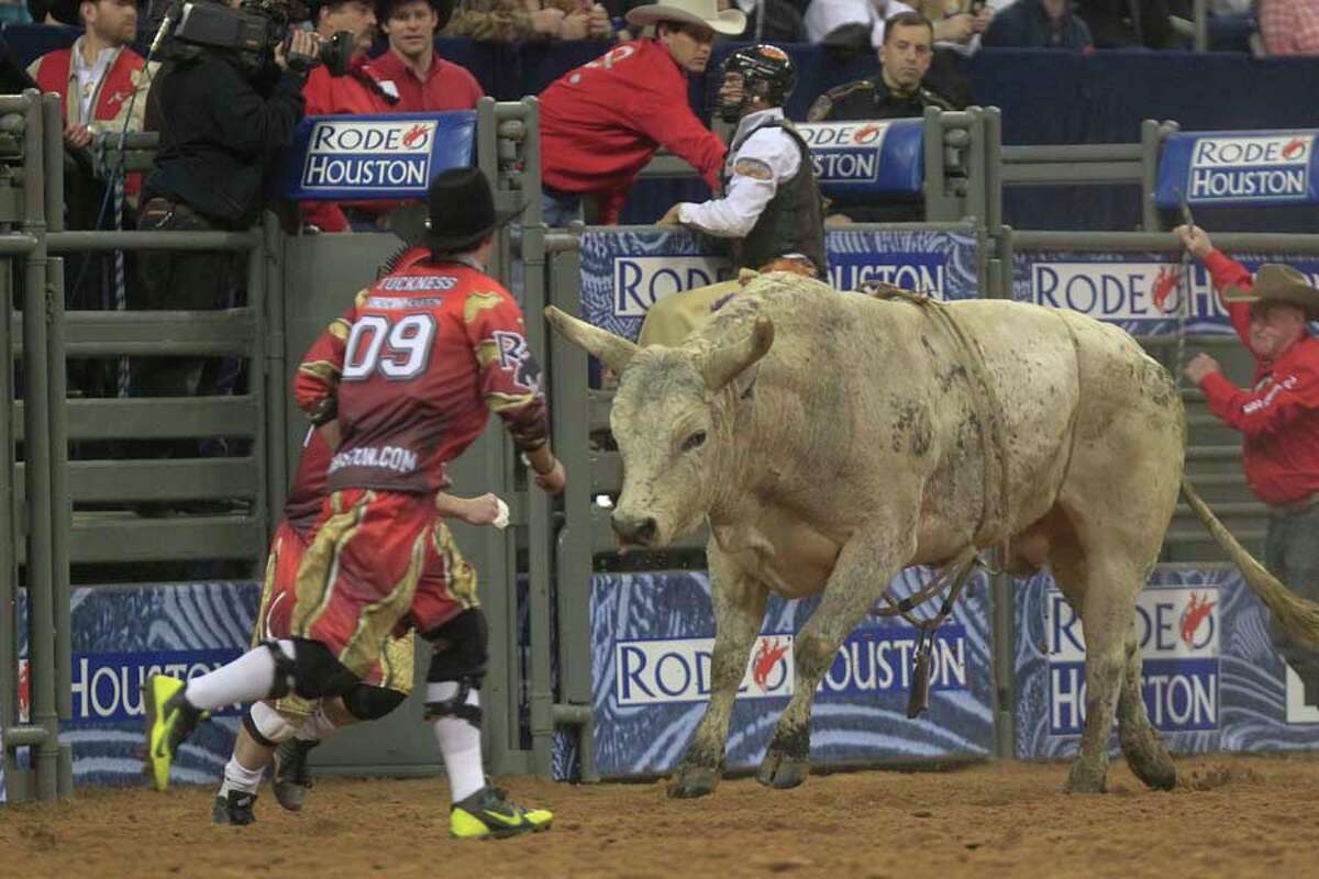 Bull riding at the rodeo gets closer look