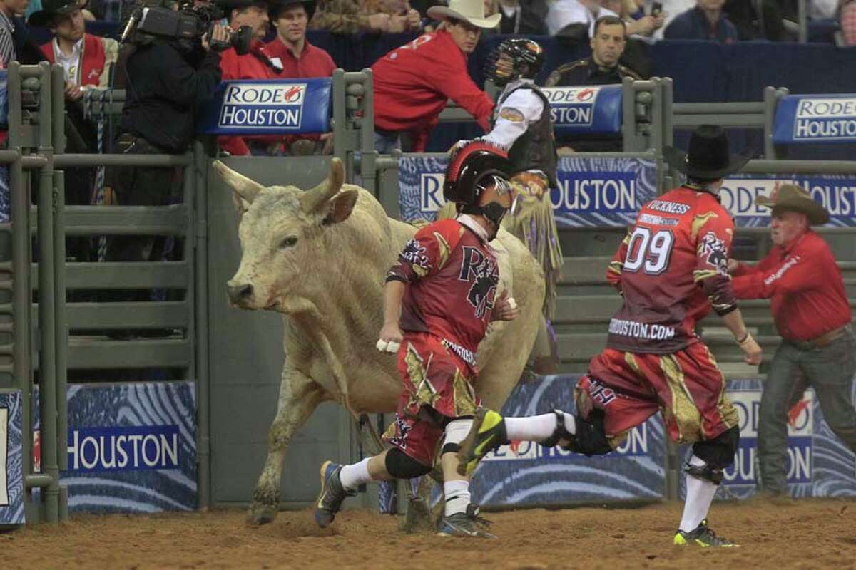 Bull riding at the rodeo gets closer look