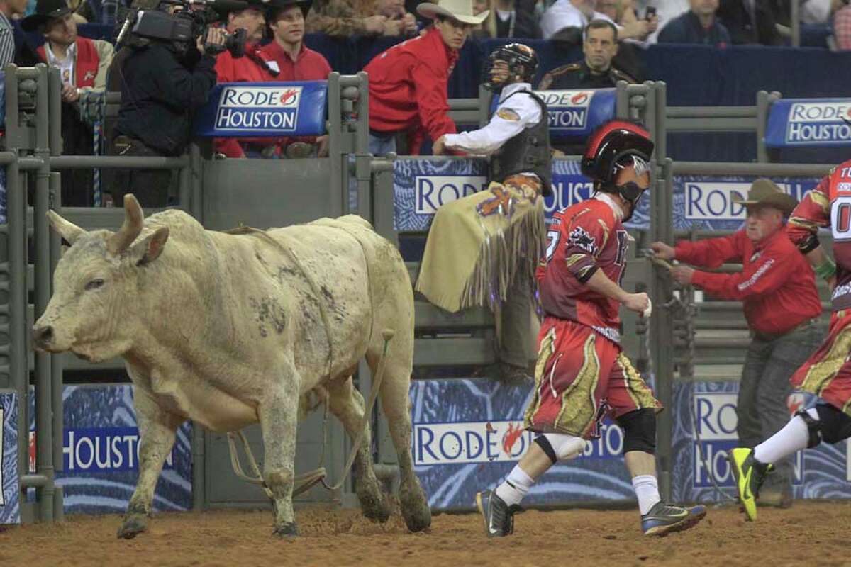 Bull riding at the rodeo gets closer look