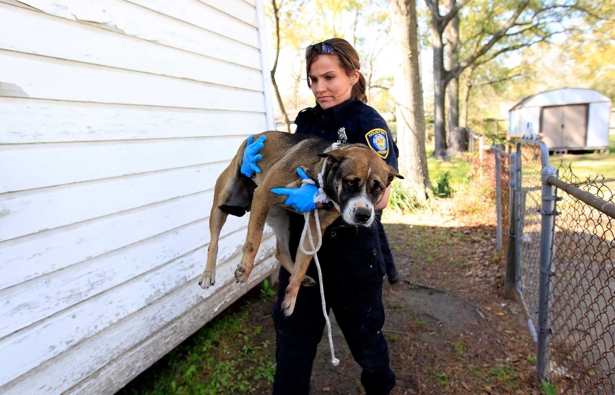 BARC tries to attack stray problem on neighborhood level