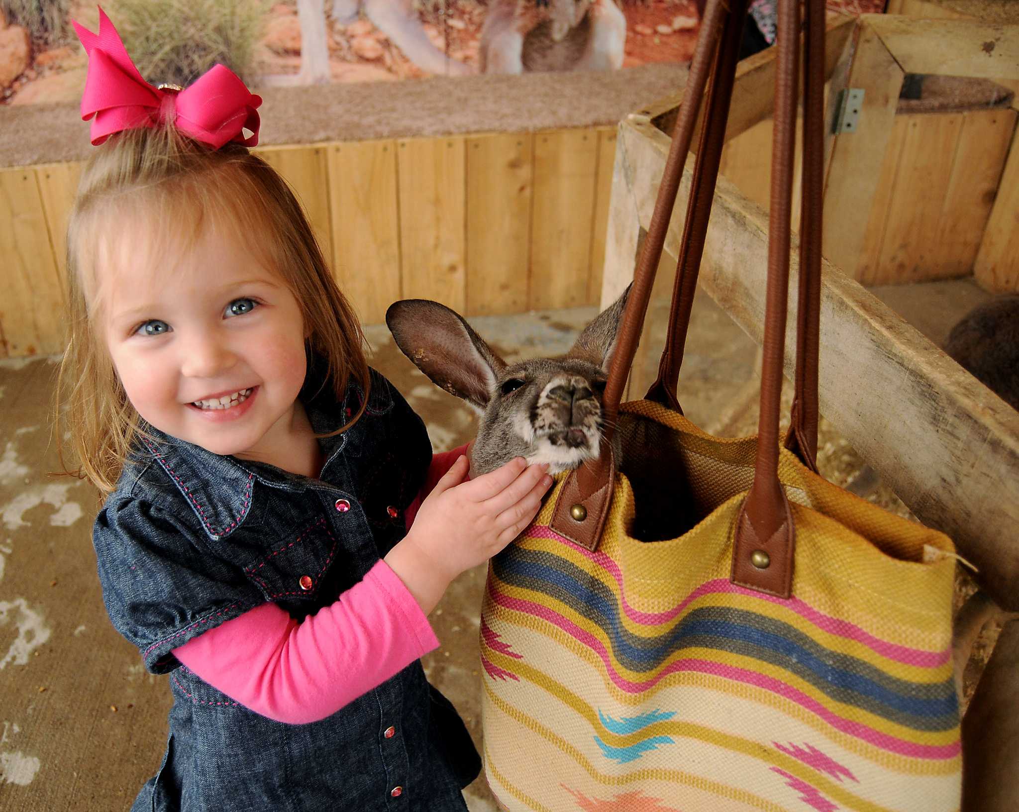 Unusual rodeo animal encounters are a hit with families