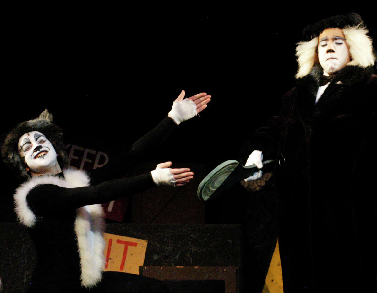 'Cats' the musical dances into town
