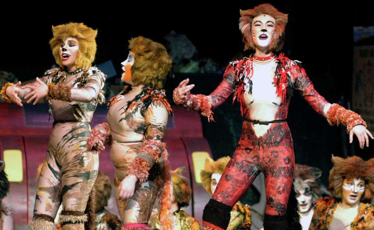 'Cats' the musical dances into town
