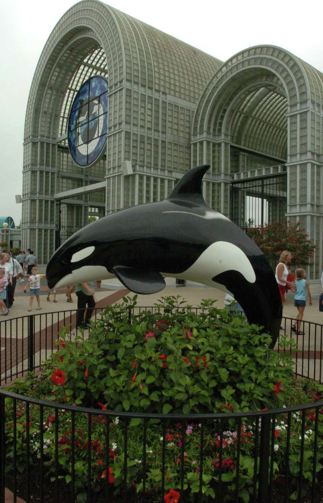 Last orca whale bred at SeaWorld born in San Antonio