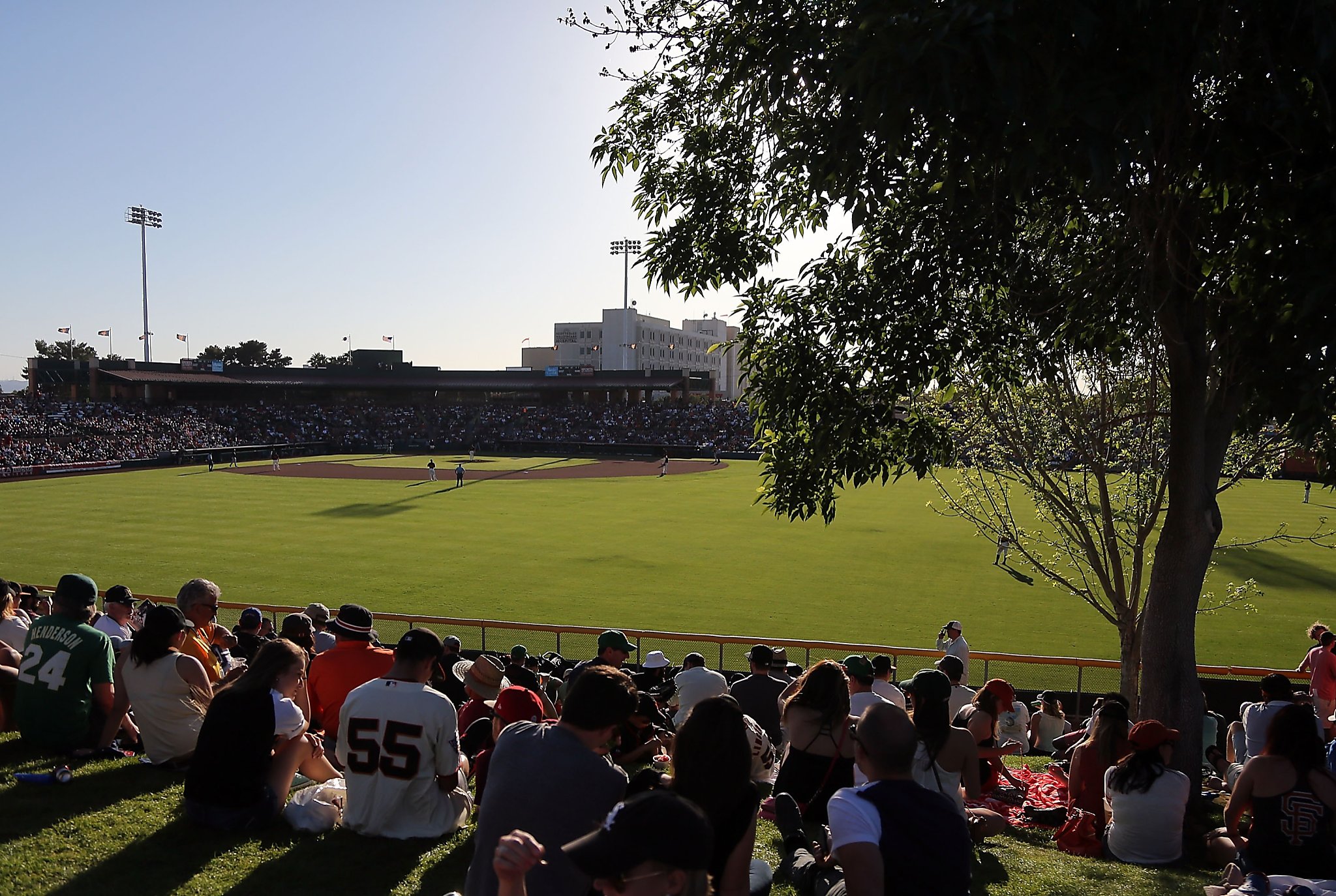 California baseball teams should have spring training here