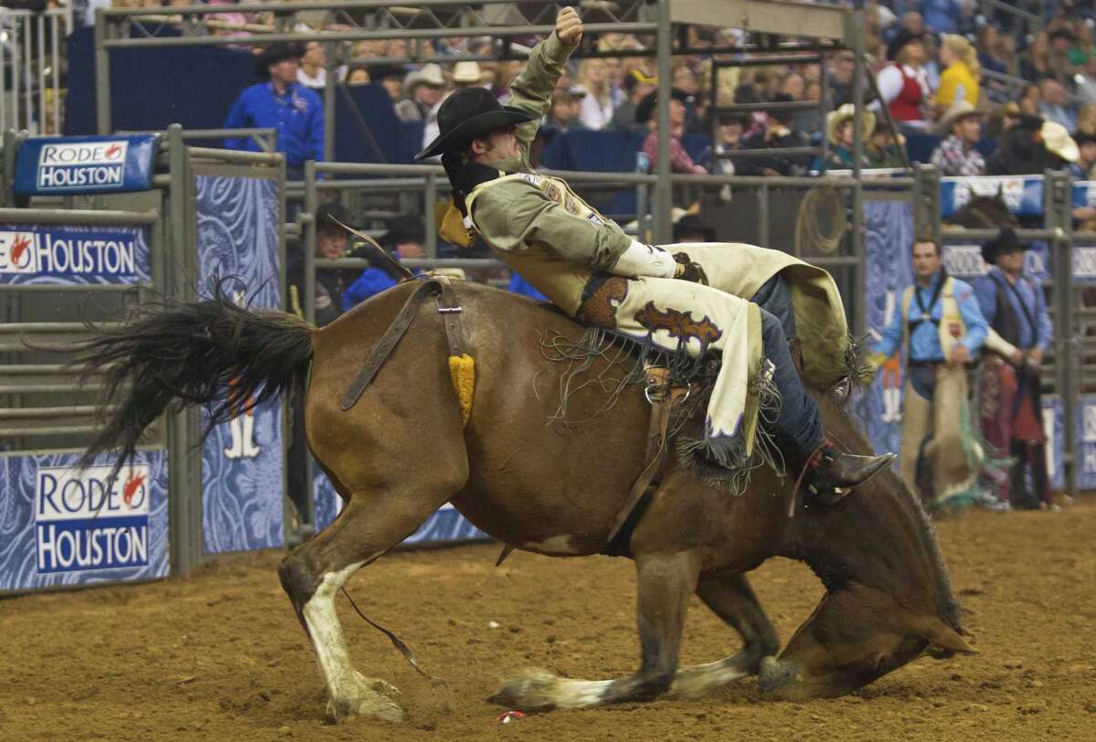What to holler if you see a loose bull at RodeoHouston