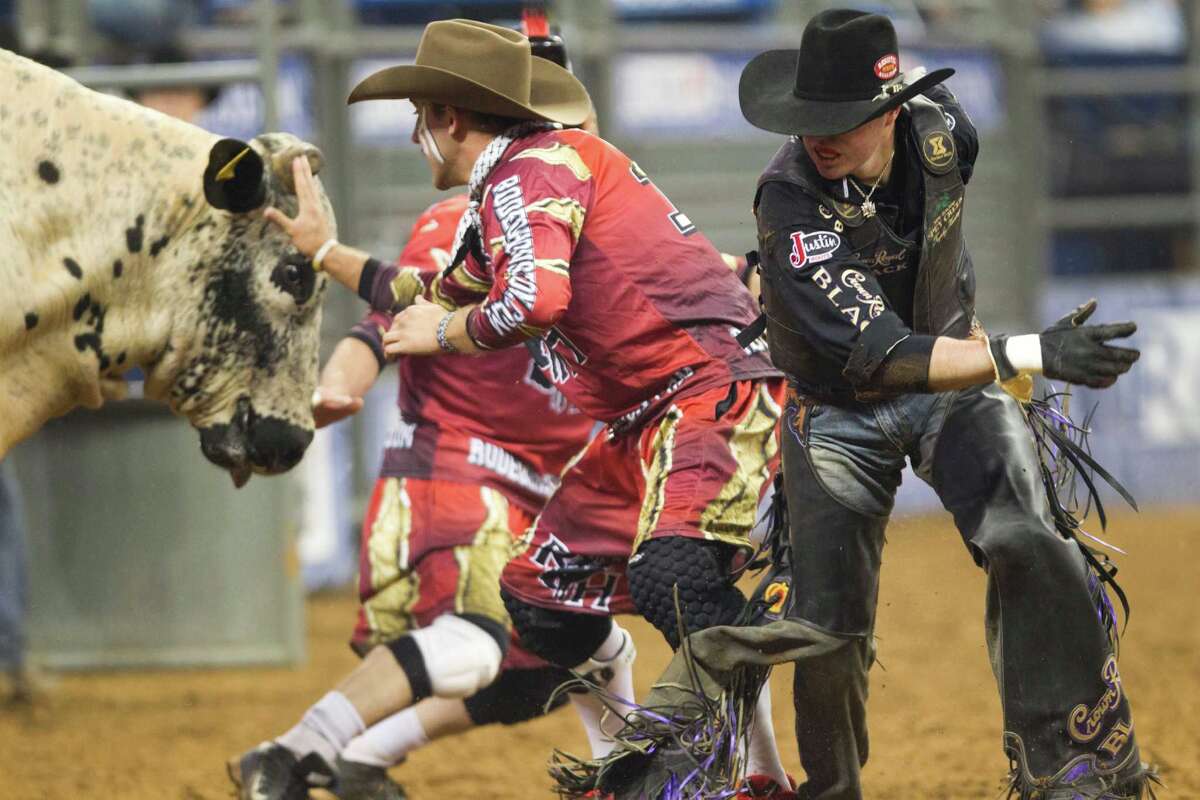 What to holler if you see a loose bull at RodeoHouston