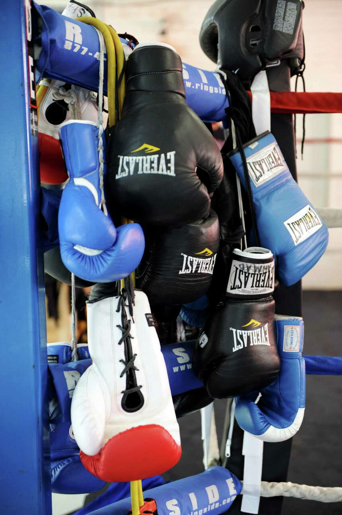 Female Stamford boxer looking for a fight