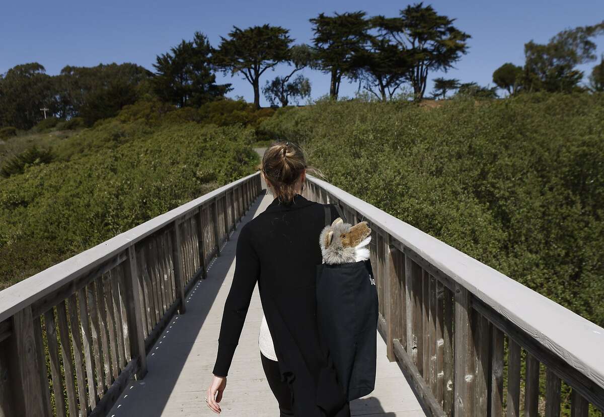 Protectors of S.F.'s urban coyotes try to calm fears