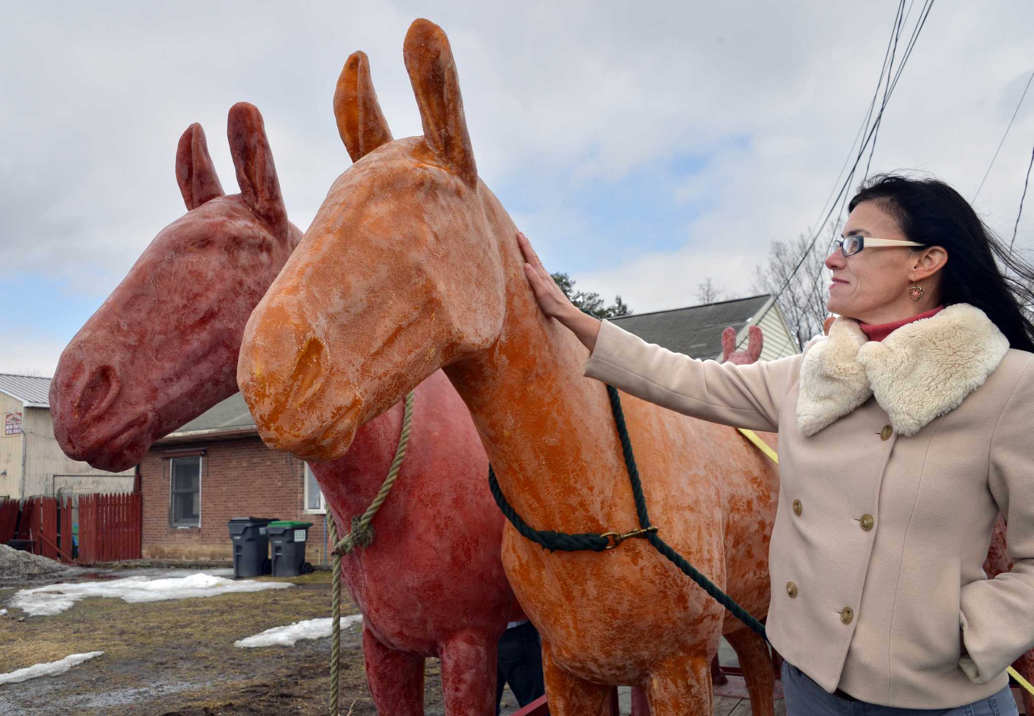Mules make a comeback along the canal