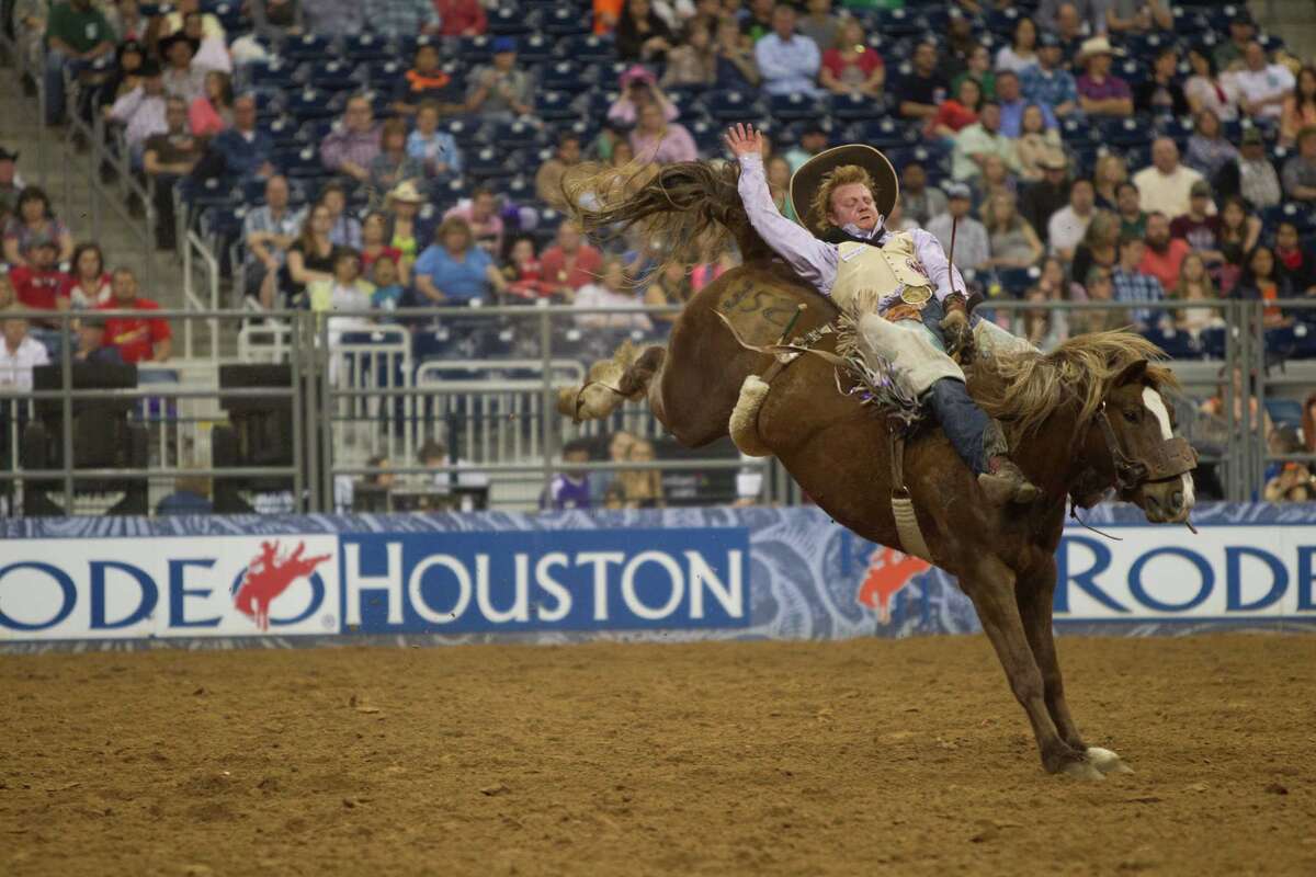 What to holler if you see a loose bull at RodeoHouston