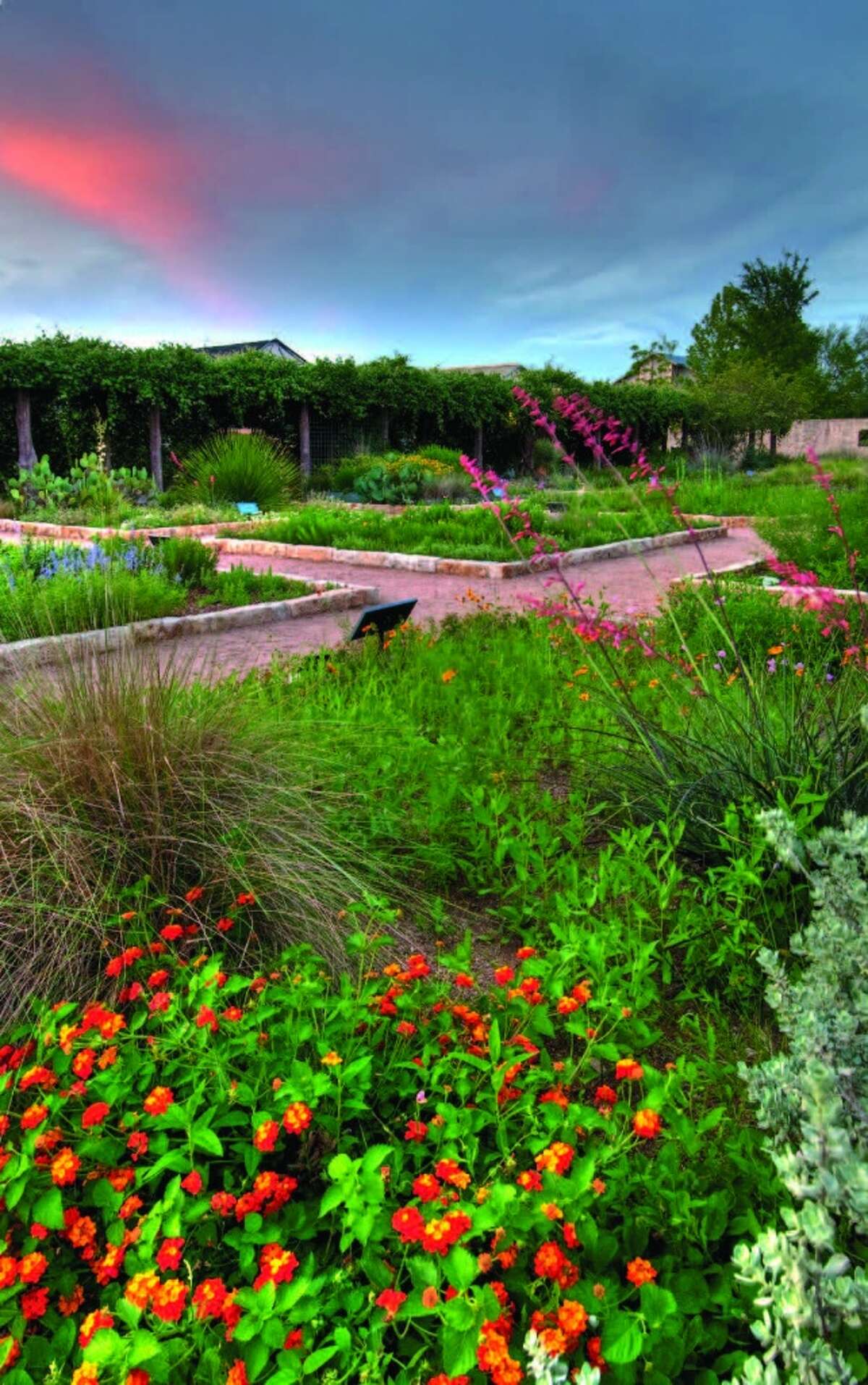 Gardens around Texas