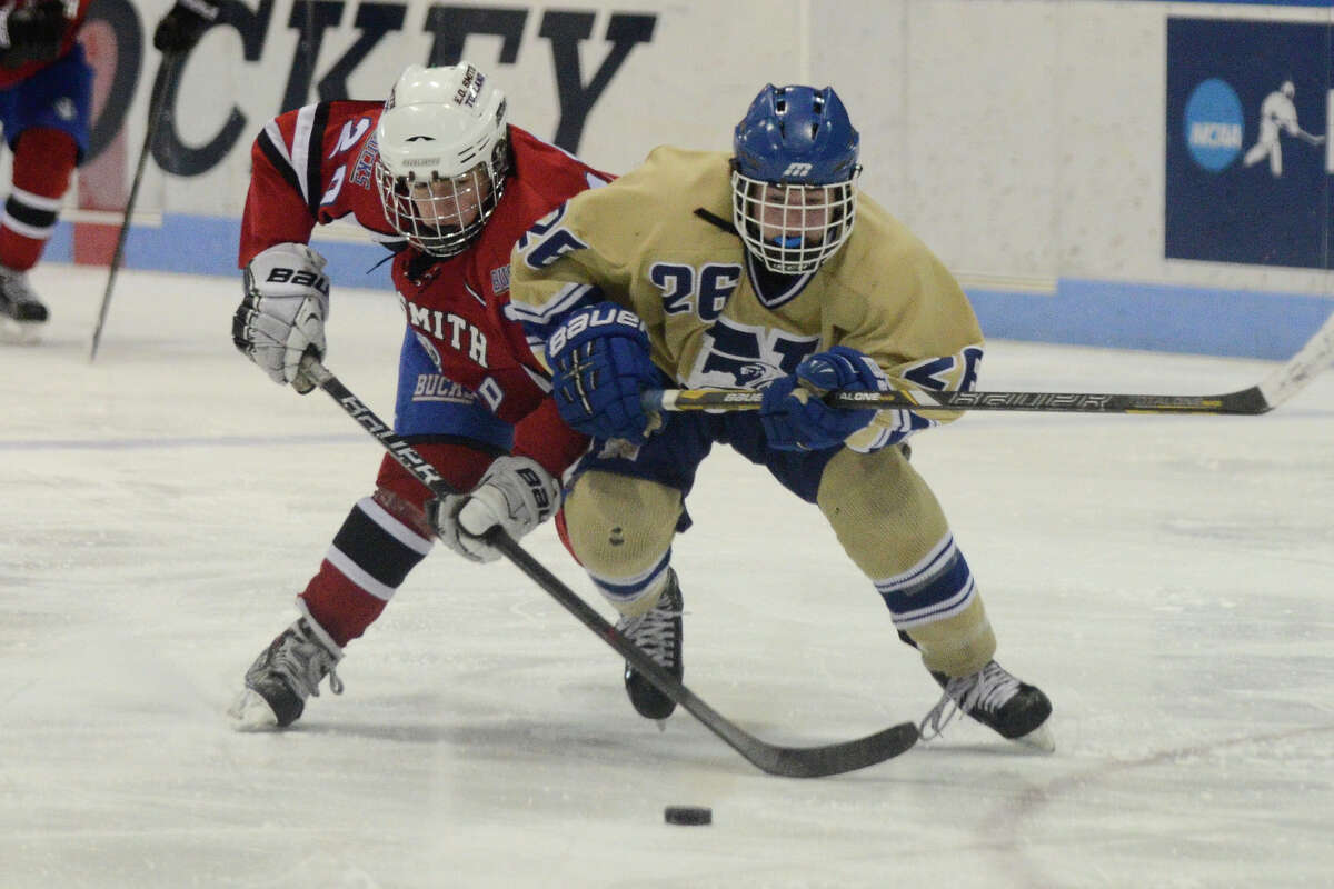 Freshman McLean nets overtime winner as Newtown captures first state ...