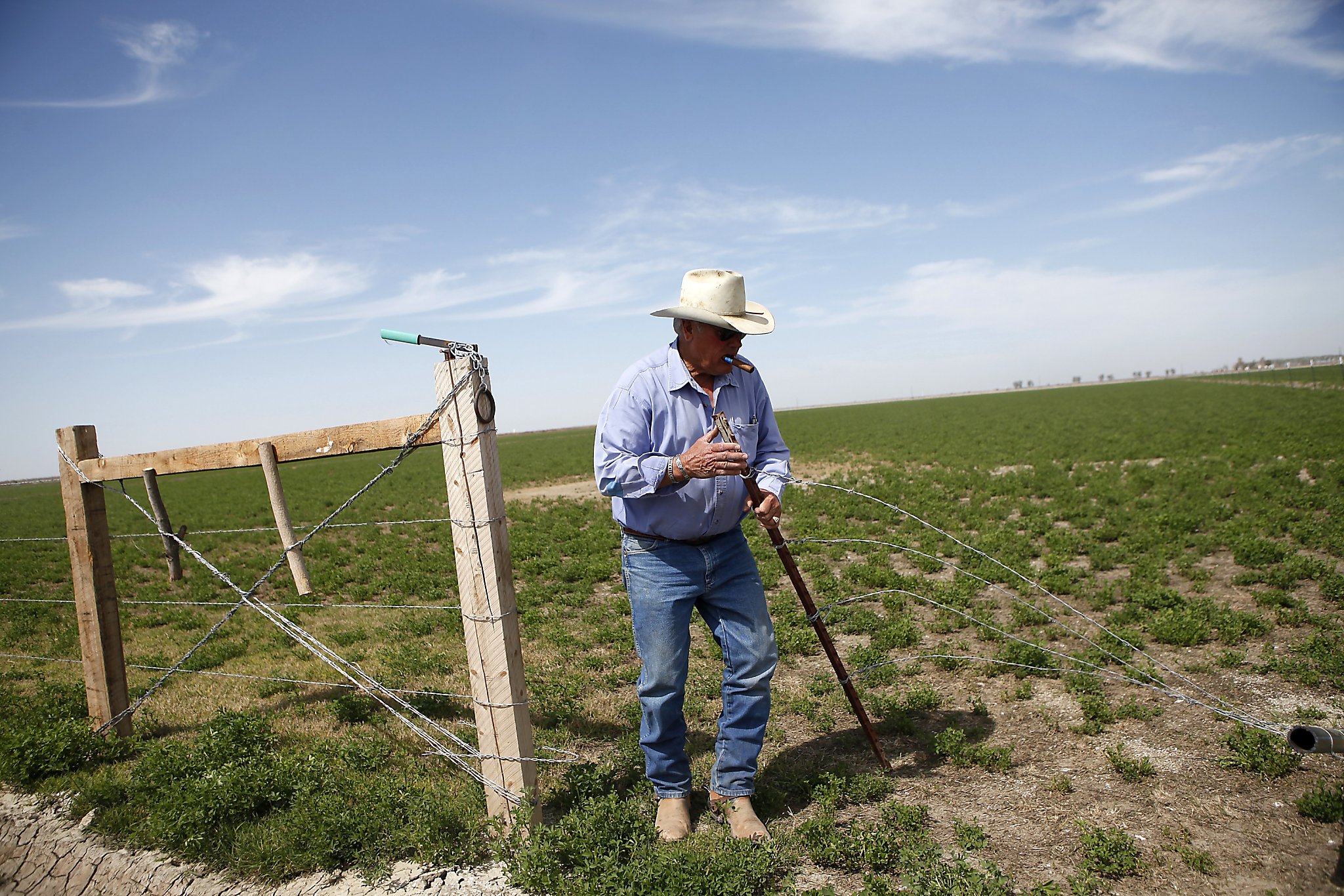 California drought: Central Valley farmland on its last legs