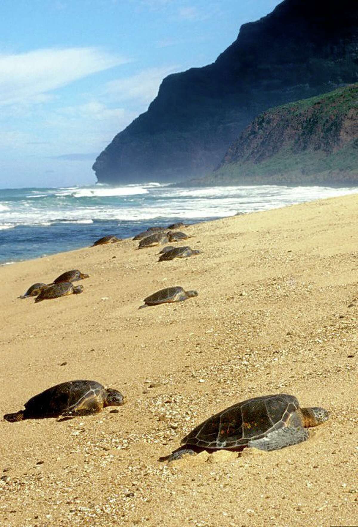 Kauai’s ‘go-to guy’ Mike Lyons shares stunning island photos
