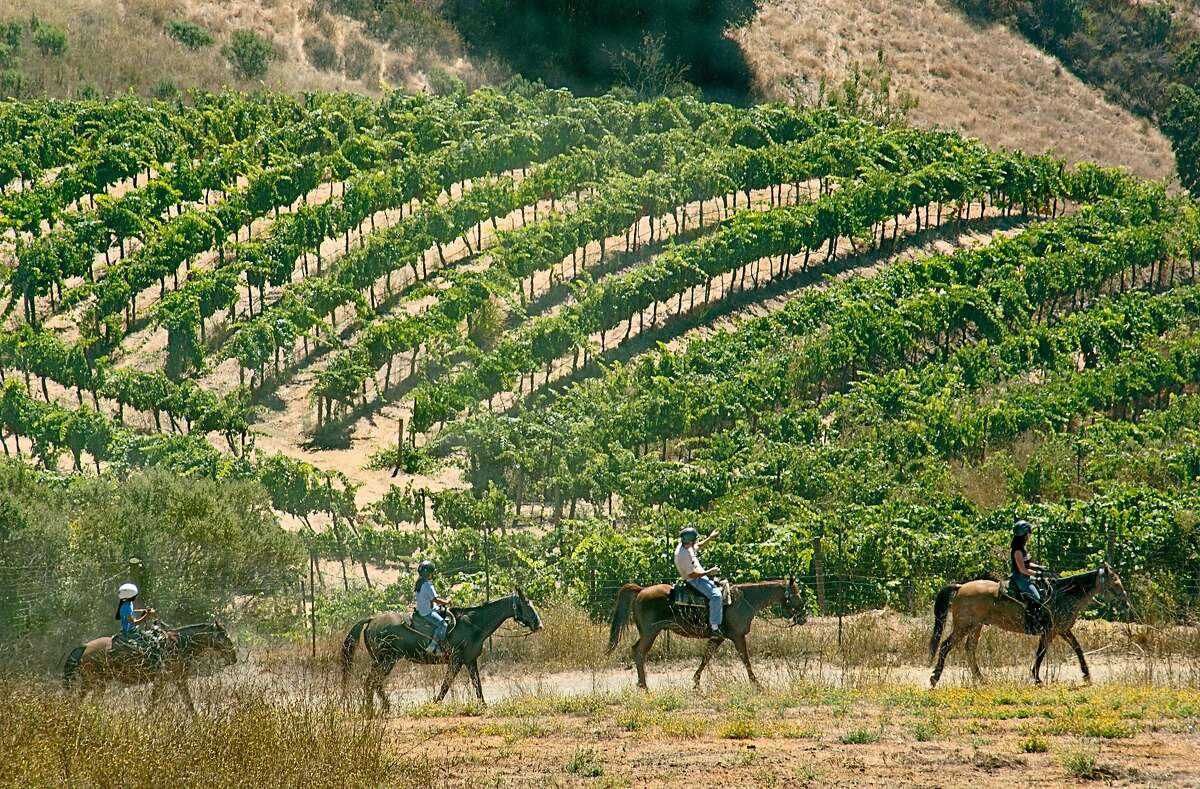 Saratoga an encore to Mountain Winery weekend