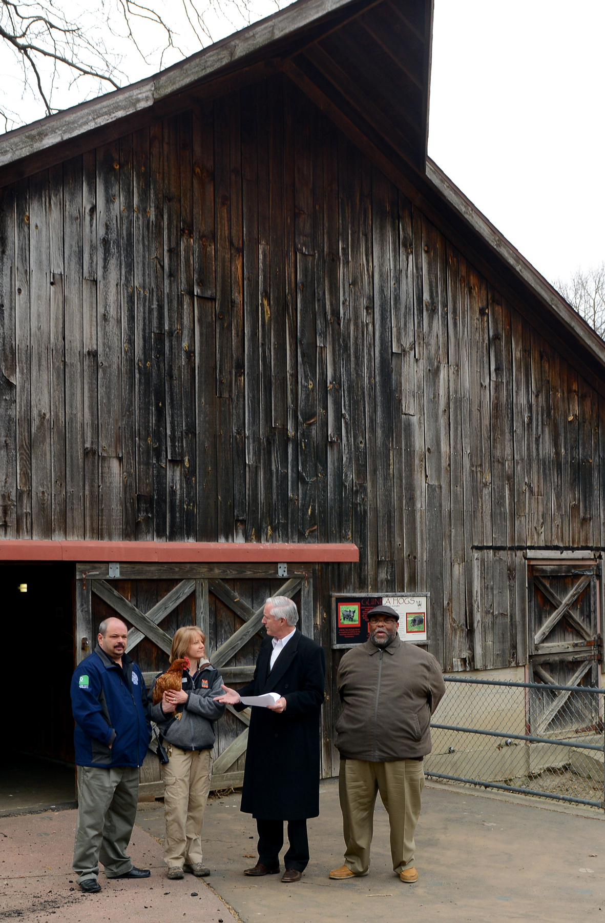 Finch administration hatches chicken plan