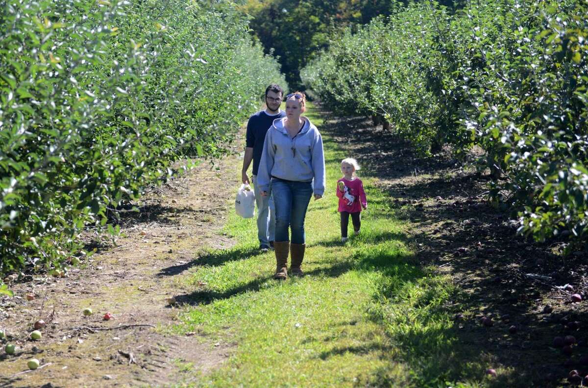 BEST OF FALL: Apple picking