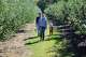 BEST OF FALL: Apple picking
