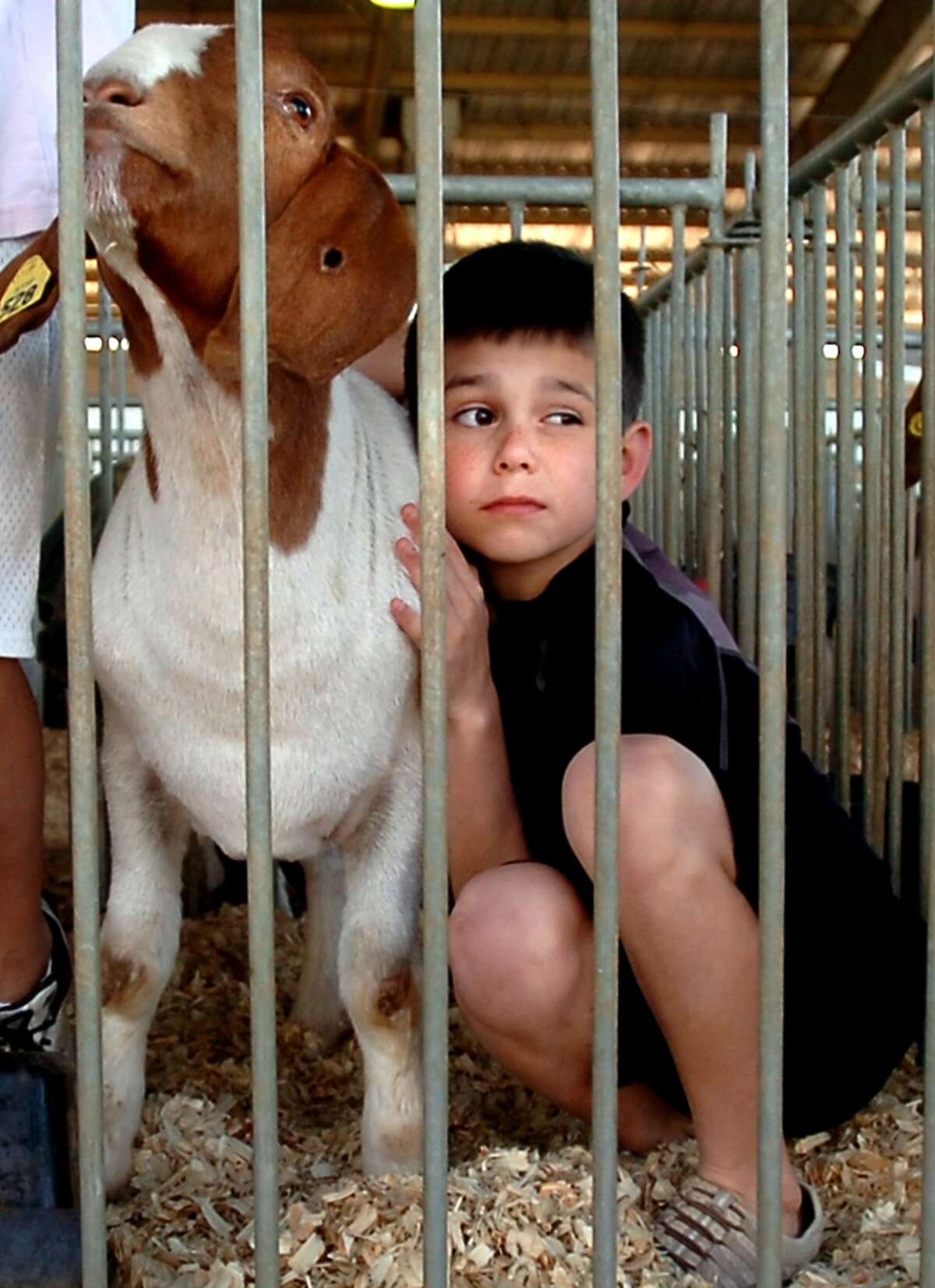 Taking Ford Park private a bet worth taking, tourism officials say