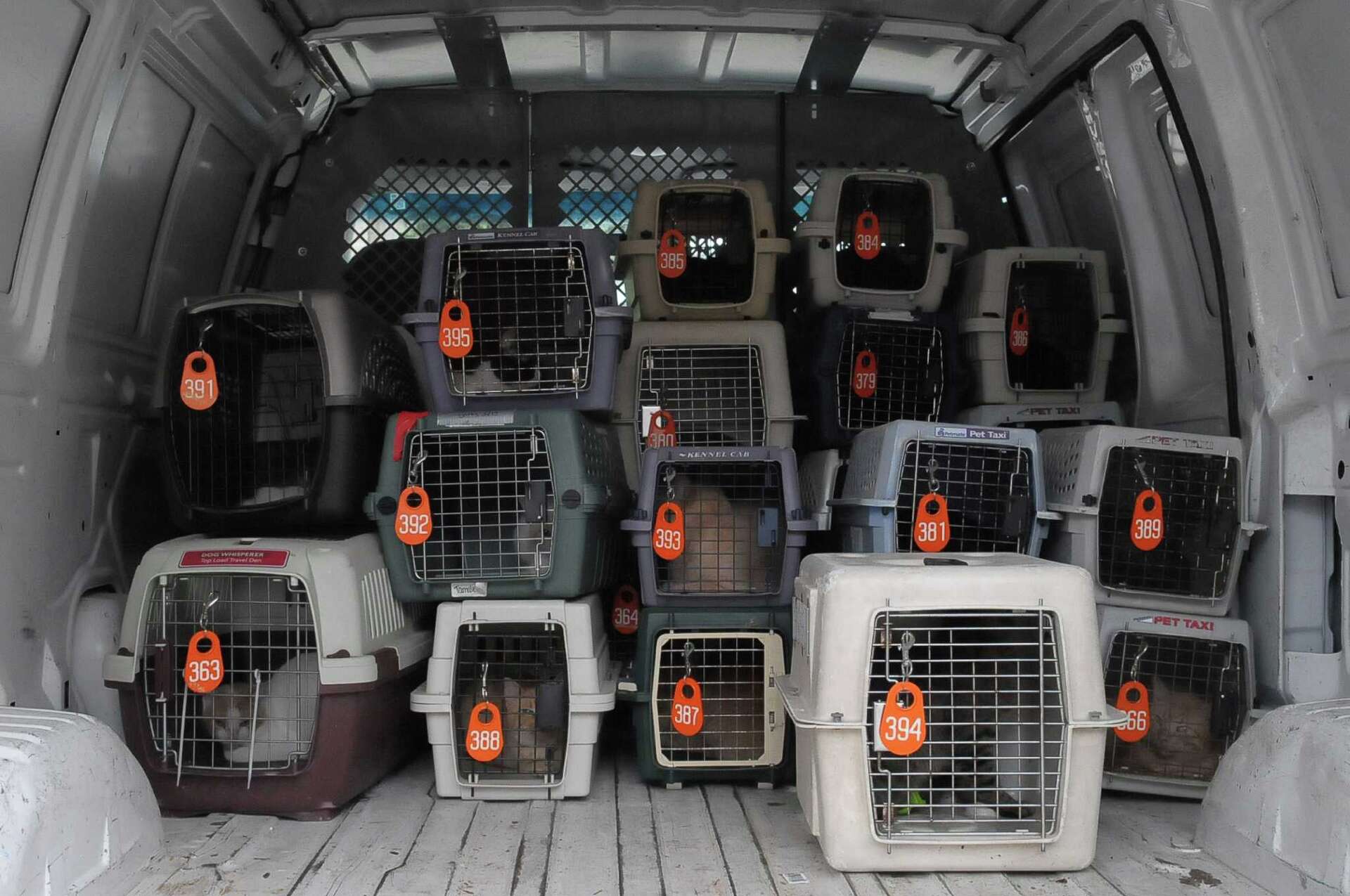 More than 100 cats removed from filthy Houston home of twin sisters