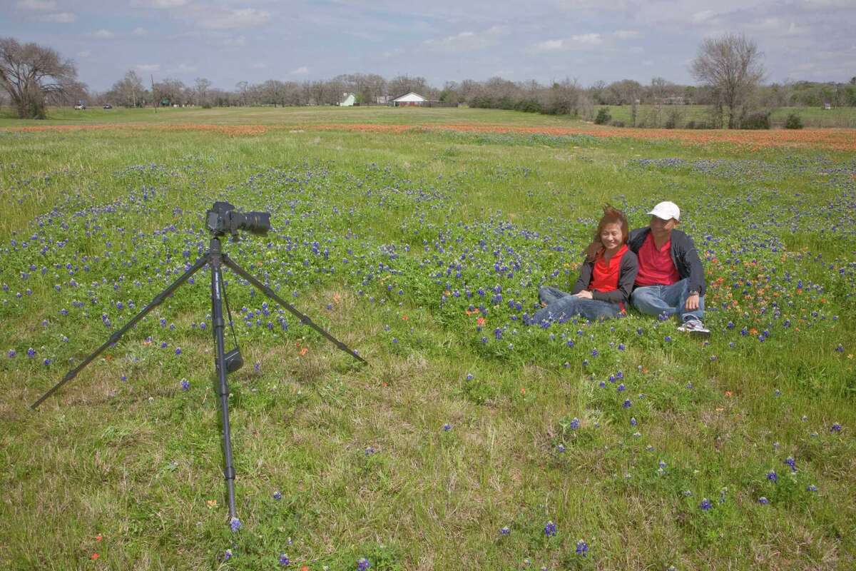 Great, but late bluebonnet season predicted
