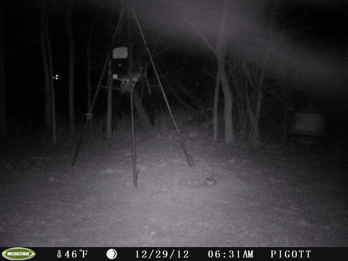 Former Lockheed Martin engineer from Texas: I met aliens at Area 51