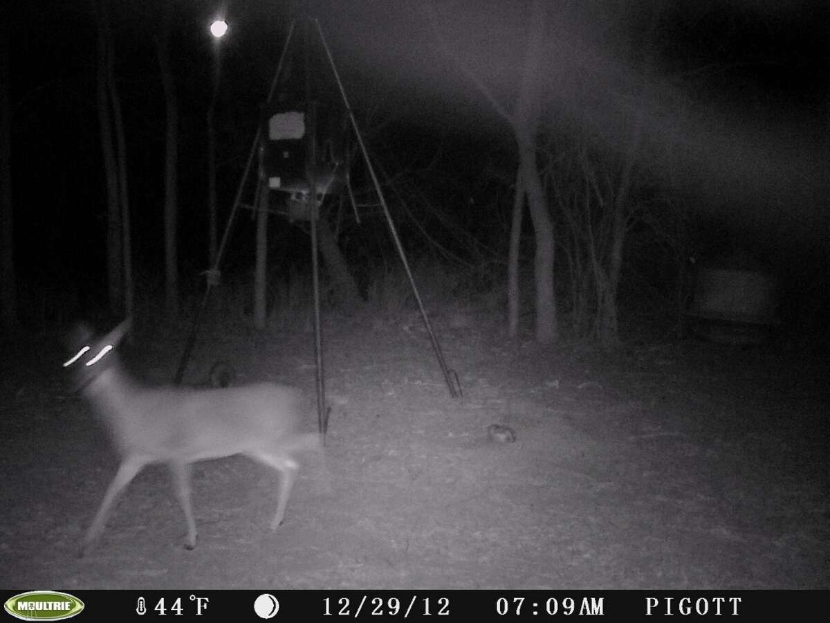 Former Lockheed Martin engineer from Texas: I met aliens at Area 51