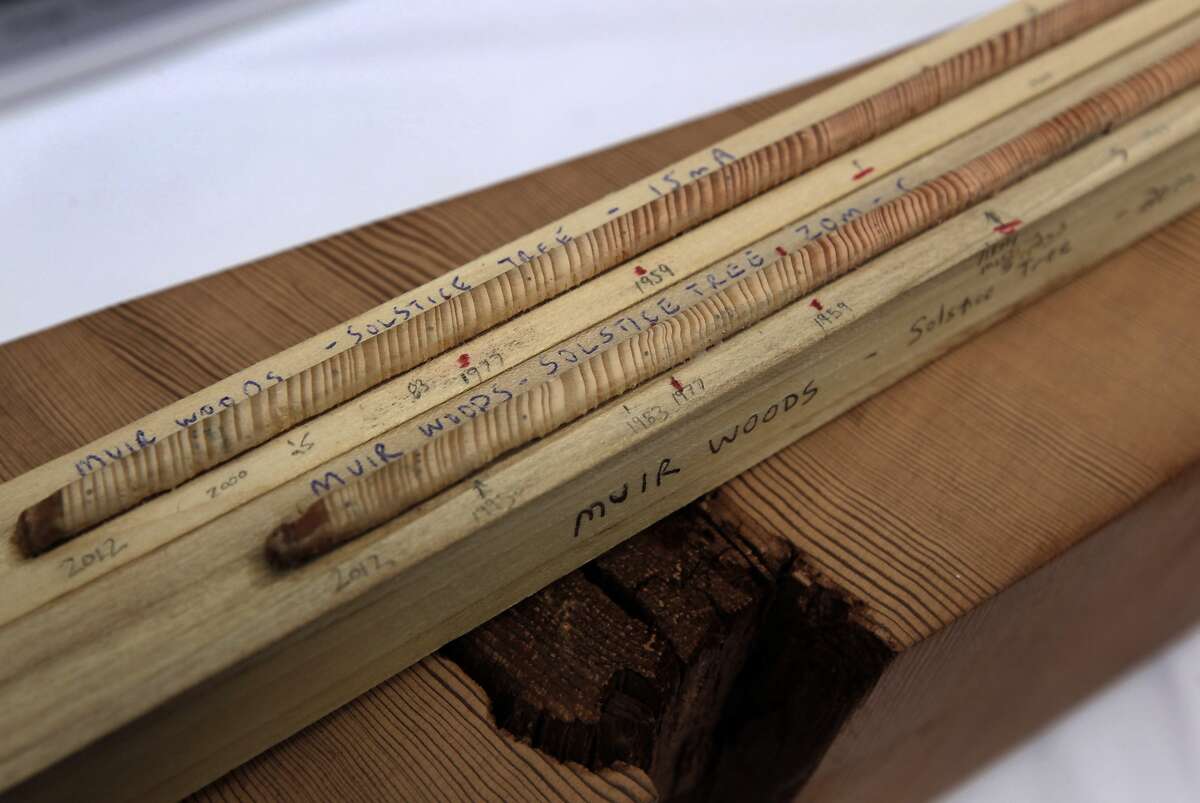 Teams tally biological oddities on Bay Area's federal land