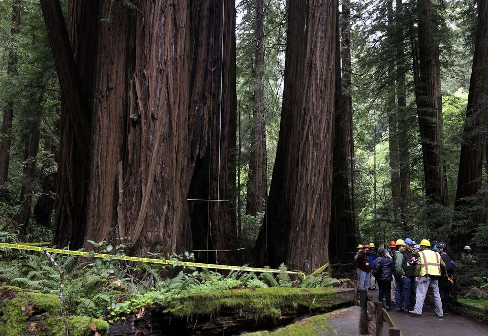 Teams tally biological oddities on Bay Area's federal land