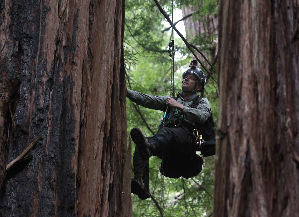 Teams tally biological oddities on Bay Area's federal land