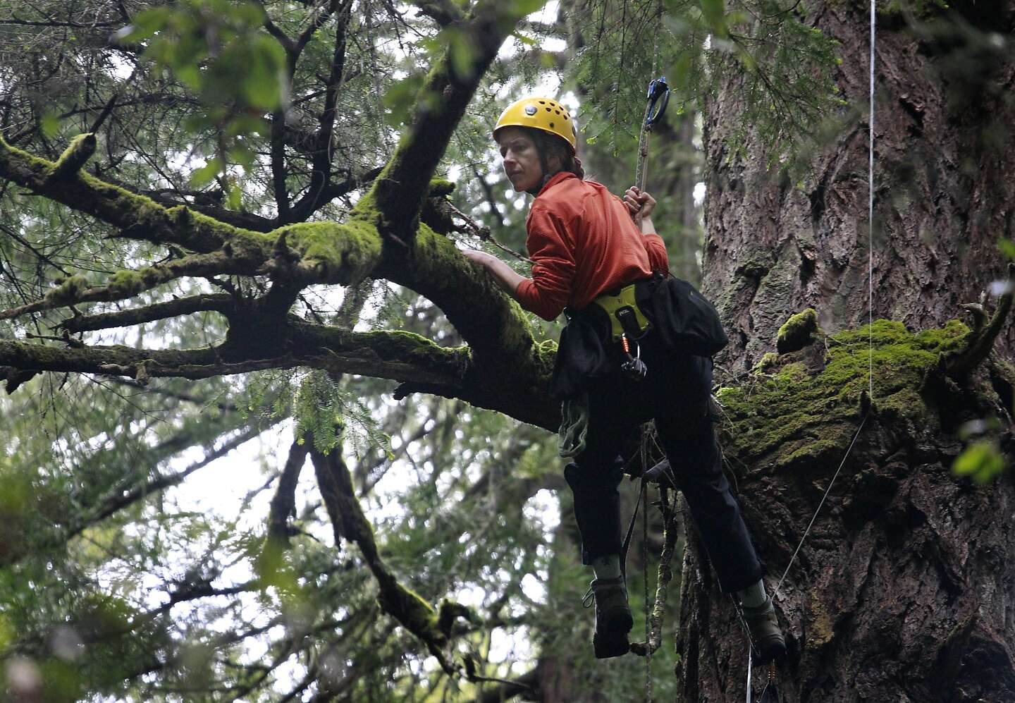 Teams tally biological oddities on Bay Area's federal land
