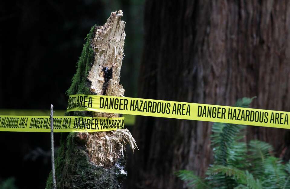 Teams tally biological oddities on Bay Area's federal land