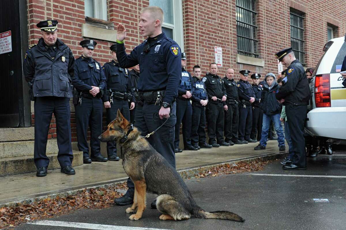 Time with dogs is the just right therapy