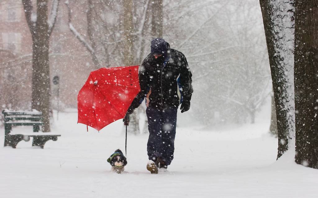 Winter storm hits hard, but not a knockout