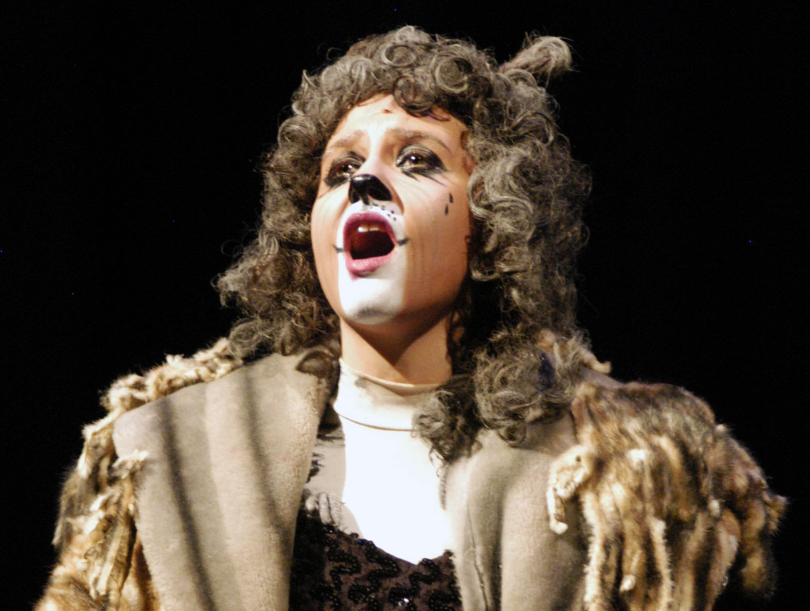 'Cats' the musical dances into town