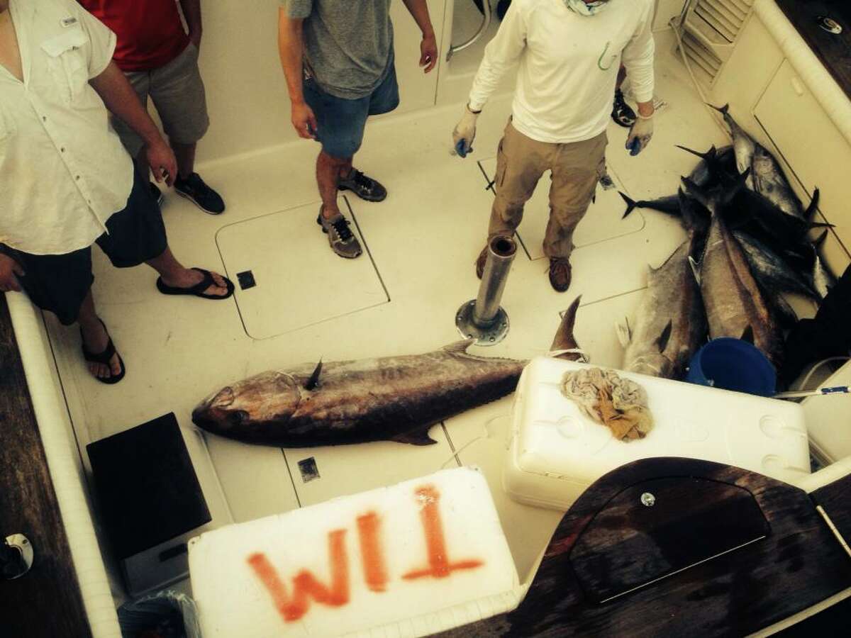 Record-breaking amberjack caught in Gulf in fisherman's 'rush of a ...