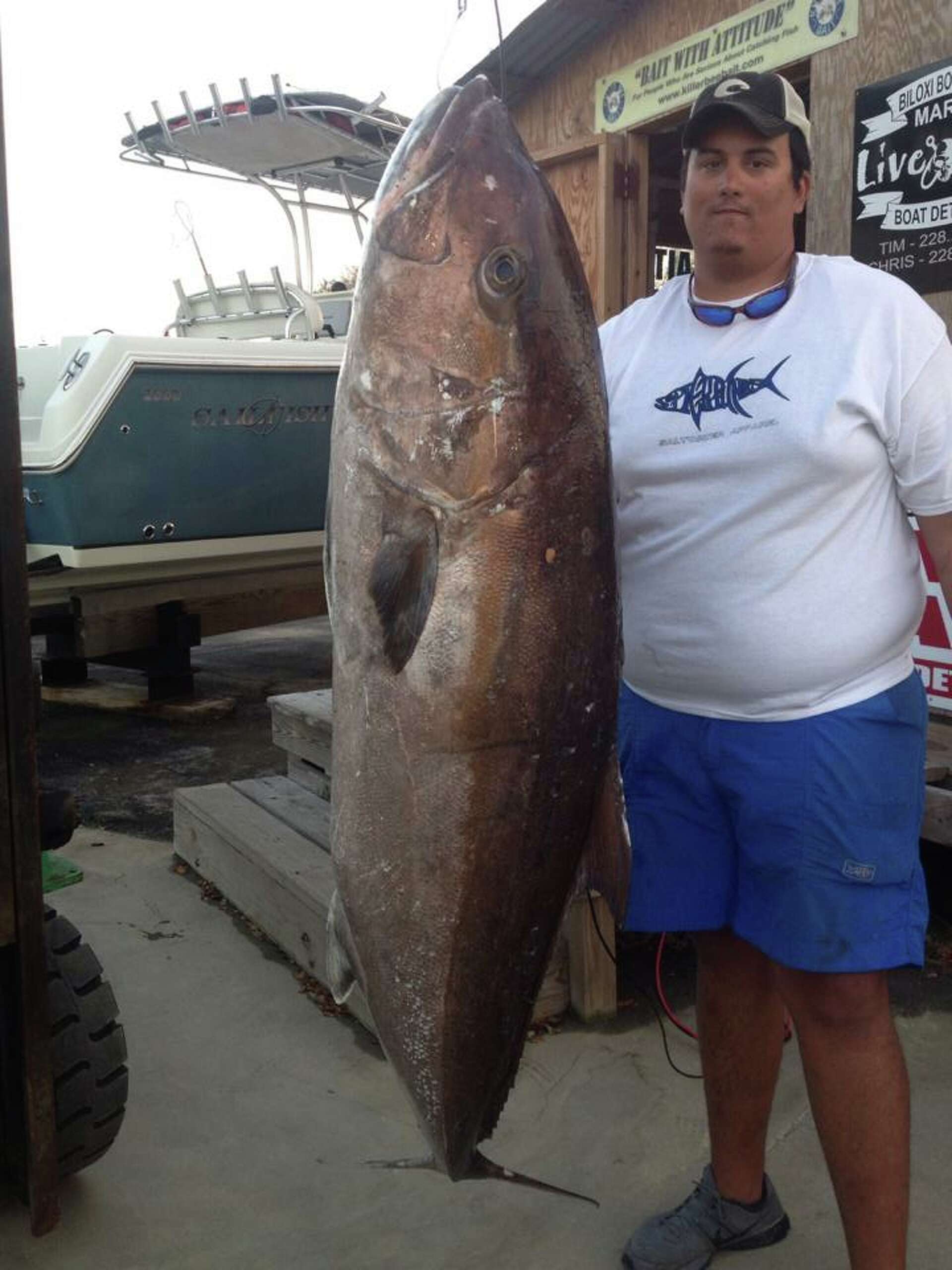 Record-breaking amberjack caught in Gulf in fisherman's 'rush of a ...
