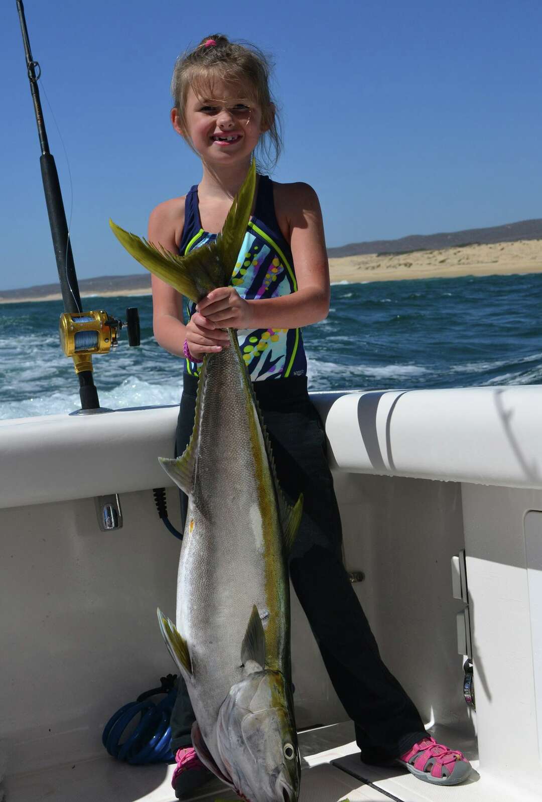 Record-breaking amberjack caught in Gulf in fisherman's 'rush of a ...