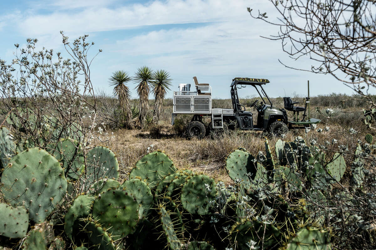 Everything is bigger in Texas, including bird-hunting trucks