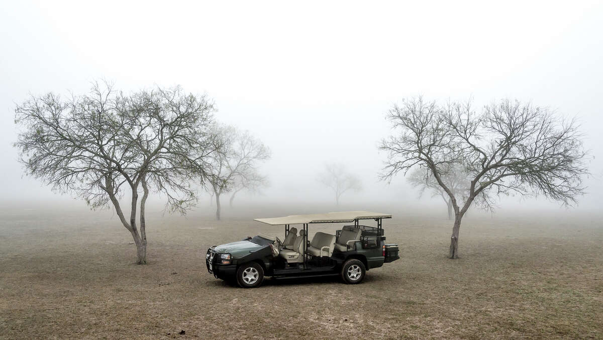 Everything is bigger in Texas, including bird-hunting trucks