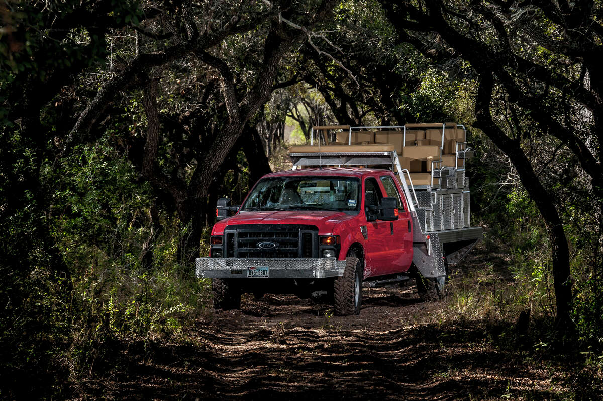 Everything is bigger in Texas, including bird-hunting trucks
