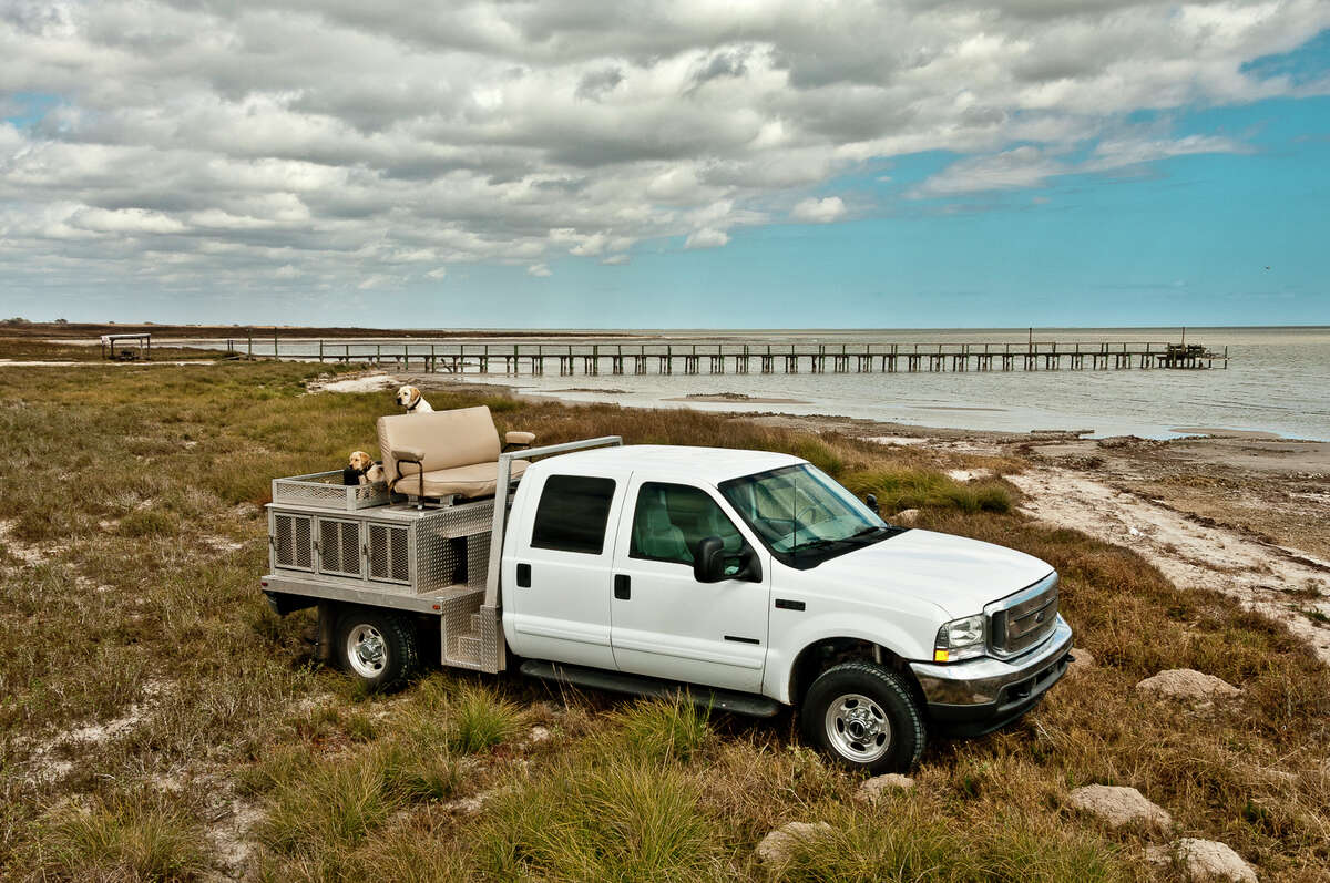 Everything is bigger in Texas, including bird-hunting trucks
